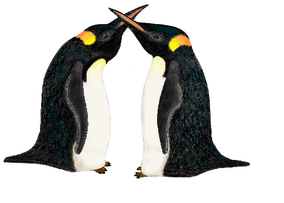 Penguin Art Plus – RobArt Penguin